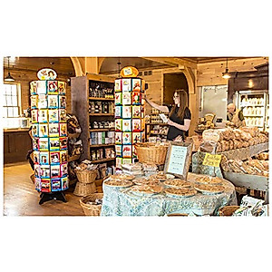 SHADE TREE GREETINGS Men's Funny Adult Birthday Greeting Card (5" x 7") by Smart Alex | 3 Pack + 3 Envelopes (Hooters and Ass)