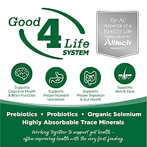 NutriSource Dry Dog Food, Turkey and Rice, 26LB