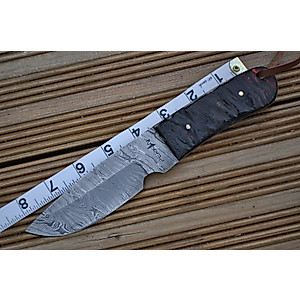 Perkin Handmade Damascus Steel Knife - Hunting Knife - Ram's Horn Handle- Full Tang - Amazing Value