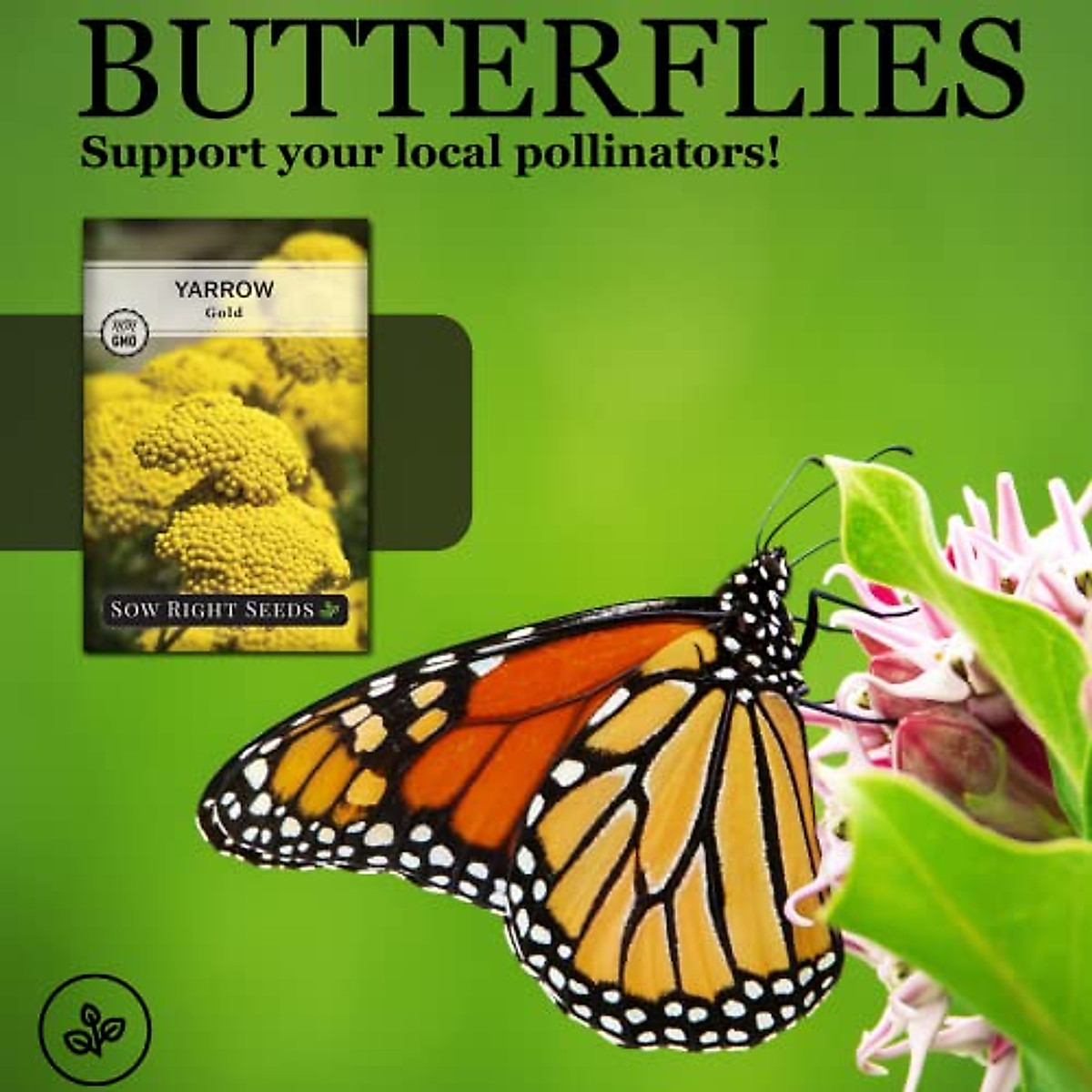 Sow Right Seeds - Achillea Yarrow Gold Flower Seeds for Planting - Beautiful Flowers to Plant in Your Home Garden - Non-GMO Heirloom Seeds - A Favorite Perennial to Attract Pollinators - Great Gift