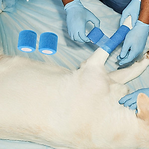 BESPORTBLE Athletic Tape 10 Rolls Self Adhesive Wrap Breathable Self Adherent Wrap Athletic for Aid Sports Injury Wrist Ankle Outdoor Tape Body Tape