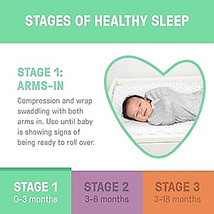 SwaddleMe by Ingenuity Compression Swaddle Pod, Two-Way Zipper for Easy Changes, Improves Sleep & Calms Startle Reflex, 0-2 Months, 2-Pack - Dino Jam