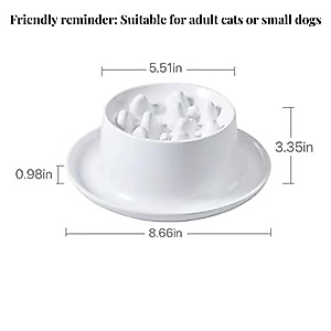 Slow Feeder Cat Bowl,Raised Cat Slow Feeder, Elevated Cat Bowls for Slow Eating, Pet Slow Feeder for Wet & Dry Food,Prevent Vomiting Improves Digestion (White)