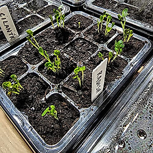 Anothera 30-Set Seed Starter Tray and Garden Propagator Kit (12 Cells Per Tray,Total 360 Cells) with Adjustable Humidity Dome and Base Greenhouse Grow Trays for Seeds Growing Starting（Dark Green）