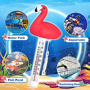Floating Pool Thermometer, Pool Temperature Thermometer for Cold Plunge, Large Display, Easy to Read, Shatter Resistant, for Outdoor & Indoor Swimming Pools, Spas, Hot Tubs & Aquariums