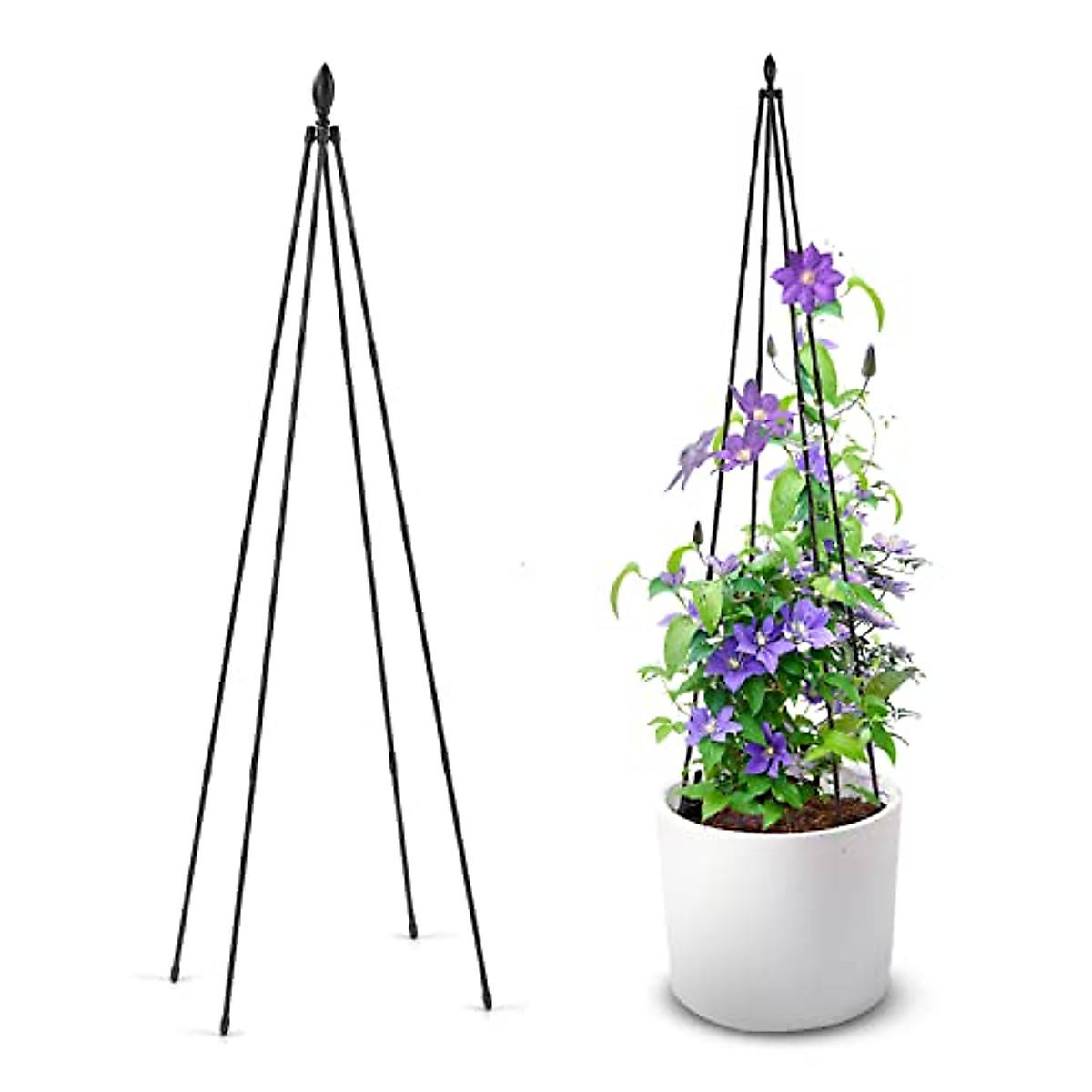 Lalahoni 2 Pack Garden Trellis for Climbing Plants Outdoor Indoor Pot | 67inch Tall Plants Trellis Support for Climbing Vines Vegetables Plants | Garden Obelisk Trellis, Lightweight, Black
