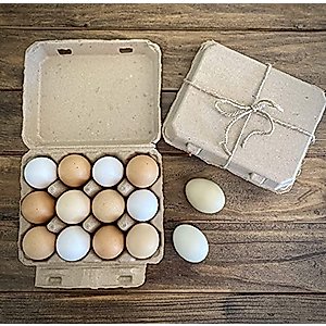Vintage Blank Egg Cartons- Classic 3x4 Style Holds 12 Large Eggs, Sturdy Design Made from Recycled Cardboard (25)