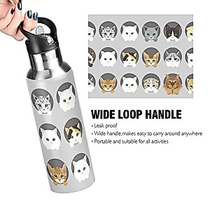 Cute Cat Kitten Water Bottle Kids Insulated Thermos Stainless Steel Hot Cold Water Flask Jug with Straw Lid for Sports Gym Running 20 oz