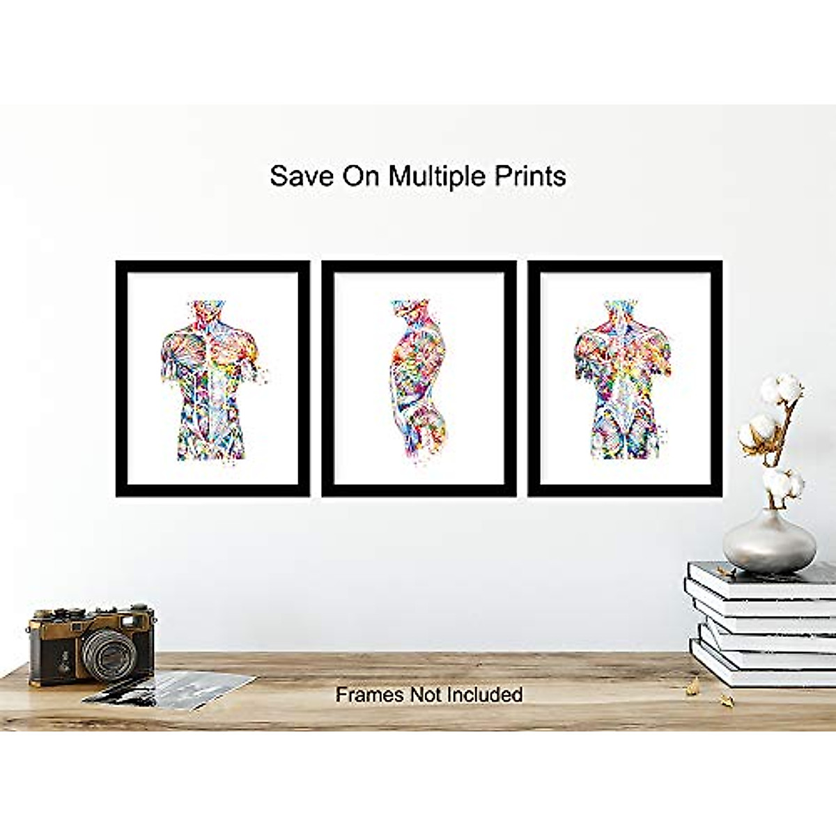 Modern Human Anatomy Room Decorations - Gift for Doctor, Nurse, Physicians Assistant, RN - Room Decor Wall Art Set for Medical Office, Home, Apartment, Living Room - Set of 3-8x10