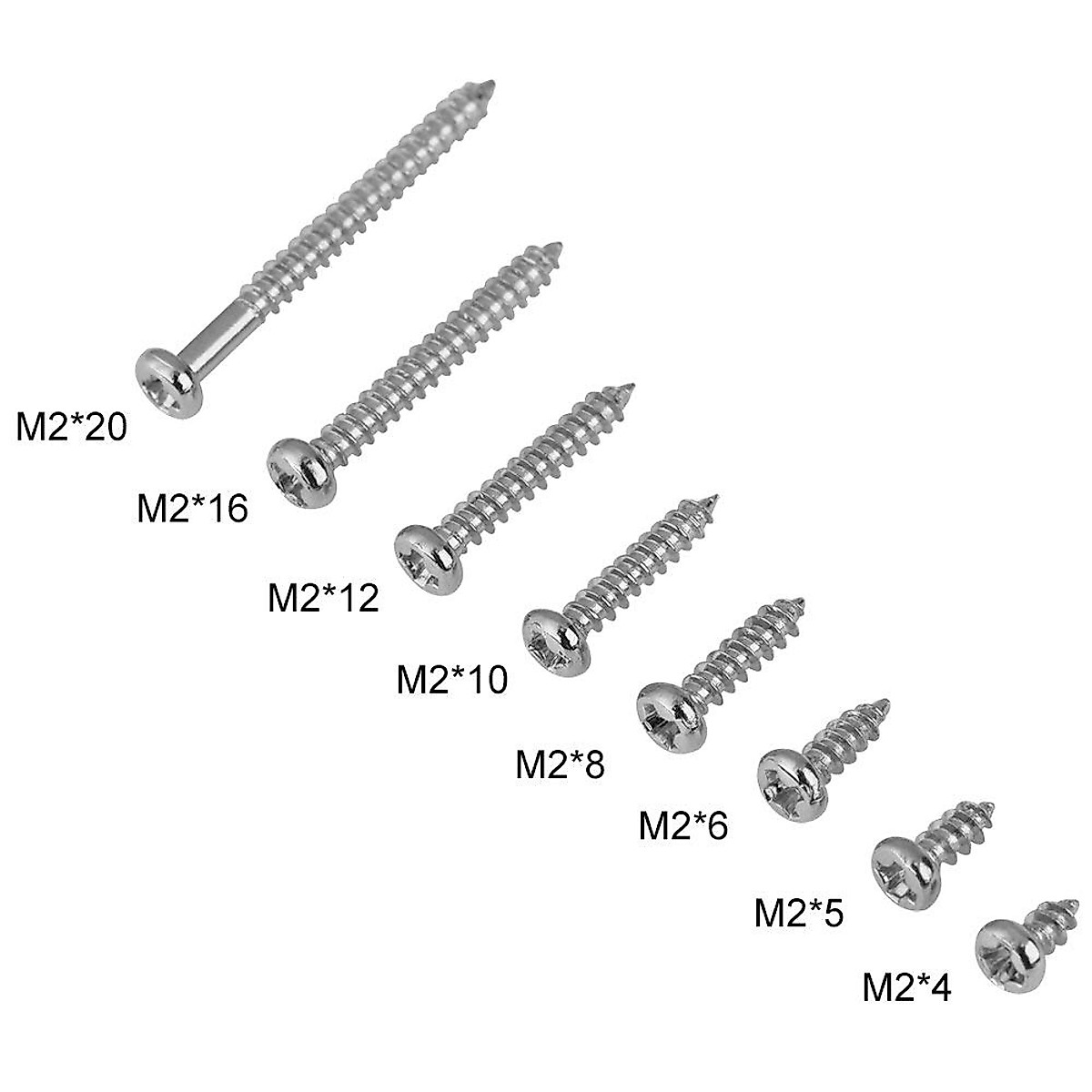 800pcs M2 Cross Drive Pan Head Self-Tapping Screws Woodworking Fastener with Box