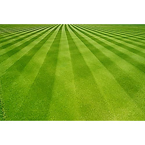 Terre Products, 2 Pack, Mulching Lawn Mower Blades, 42 Inch Deck, Compatible with Craftsman 134149, 138971, 422719, Husqvarna 532134149