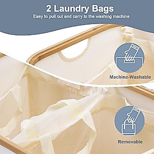 Laundry Hamper 2 Section, 160L Extra Large Laundry Basket with Lid, Double Hampers with 2 Removable Bags for Bathroom, Bedroom, Home, Toy Organizer, Beige