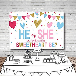 MEHOFOND Sweetheart Gender Reveal Baby Shower Photo Background He or She Valentine's Day Blue or Pink Gold Love Hearts Party Decoration Backdrops Banner for Photography 7x5ft