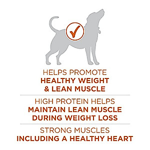 Purina ONE Plus Healthy Weight High-Protein Dog Food Dry Formula - 31.1 lb. Bag