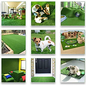 Petgrow Realistic Artificial Grass Turf -5FTX10FT(50 Square FT), Thick Fake Grass Pet Dog Mat Pad with Drain Holes- Indoor Outdoor Astroturf Garden Lawn Landscape Balcony Synthetic Faux Grass