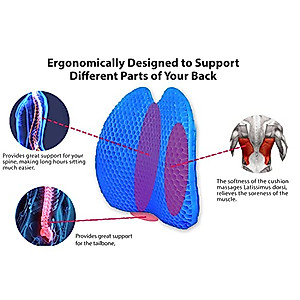 LunaBox Dense Lumbar Pillow - Ergonomic Patented Multi-Region Back Support for Lower Back Pain Tailbone Relief, Lumbar Support Cushion w/Strap for Home, Office Chair and Sofa - Black