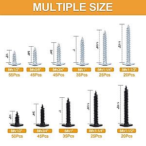 VIGRUE #8 Phillips Modified Truss Head Wood Screws Self Tapping Screws Assortment kit, 400PCS