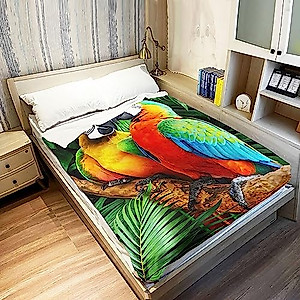 Rstick Parrot Blanket Leaves Birds Macaws Fleece Blanket Soft Fuzzy Plush Throw Blankets for Couch Bed 60"x80"