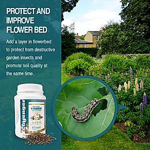 EcoVenger Multi-Purpose V-Granules 1.95LB Jug, Horticulture or Household Use for Indoor & Outdoor Protection Against Insects and Rodents, Improves Soil & Promotes Rooting, 100% Natural, Safe for Kids