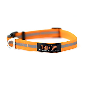 Mighty Paw Waterproof Dog Collar - Smell-Proof Active Gear - Reflective Stripe Coated Nylon Webbing - Dog Swim Collar - Smell Resistant Dog Collar - Dog Collar for All Dog Breeds - (Orange, Medium)