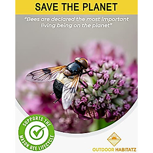 Cardboard Bee Nesting Tubes 2 Pack, 220 Piece Mason Bee Tube Refills for Beekeepers, Bee Hotel and Mason Bee House Replacement Refill Tube Inserts, 5 Inches