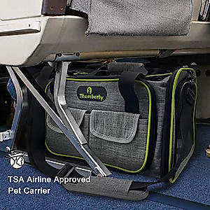 Thumberly Cat Carrier Soft-Sided - Pet Carrier Airline Approved for Medium Cats, Small Animals and Puppy Under 15 Lbs, Small Dog Carrier 1 Side Expandable - Size Small