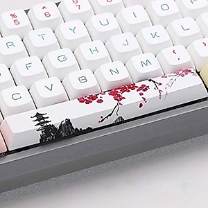 Spacebar Keycap, 5-Side Dye-subbed PBT Spacebar Keycap 6.25U Cherry Profile Keycap for DIY Mechanical Gaming Keyboard