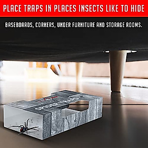Spider Traps for Inside Your Home (16 Traps) - Spider Catcher Insect Traps Indoor - Spider Traps Indoor Bug Traps Sticky Traps for Spiders - Pre Baited Ultra Sticky Insect Glue Traps - Trap a Pest