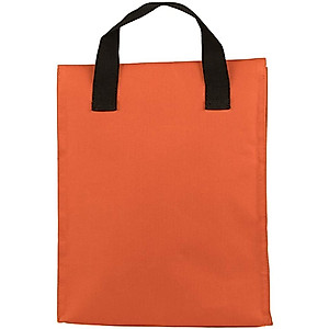 Bioworld NASA orange insulated tote Lunch Bag