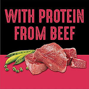 CRAVE Grain Free High Protein Adult Dry Dog Food, Beef, 22 lb. Bag