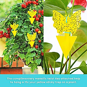 NiHome 48-Pack Yellow Sticky Traps with Twist Ties Indoor & Outdoor Plant Bug Fly Glue Catcher Nontoxic Odorless for Home Garden (Flower)