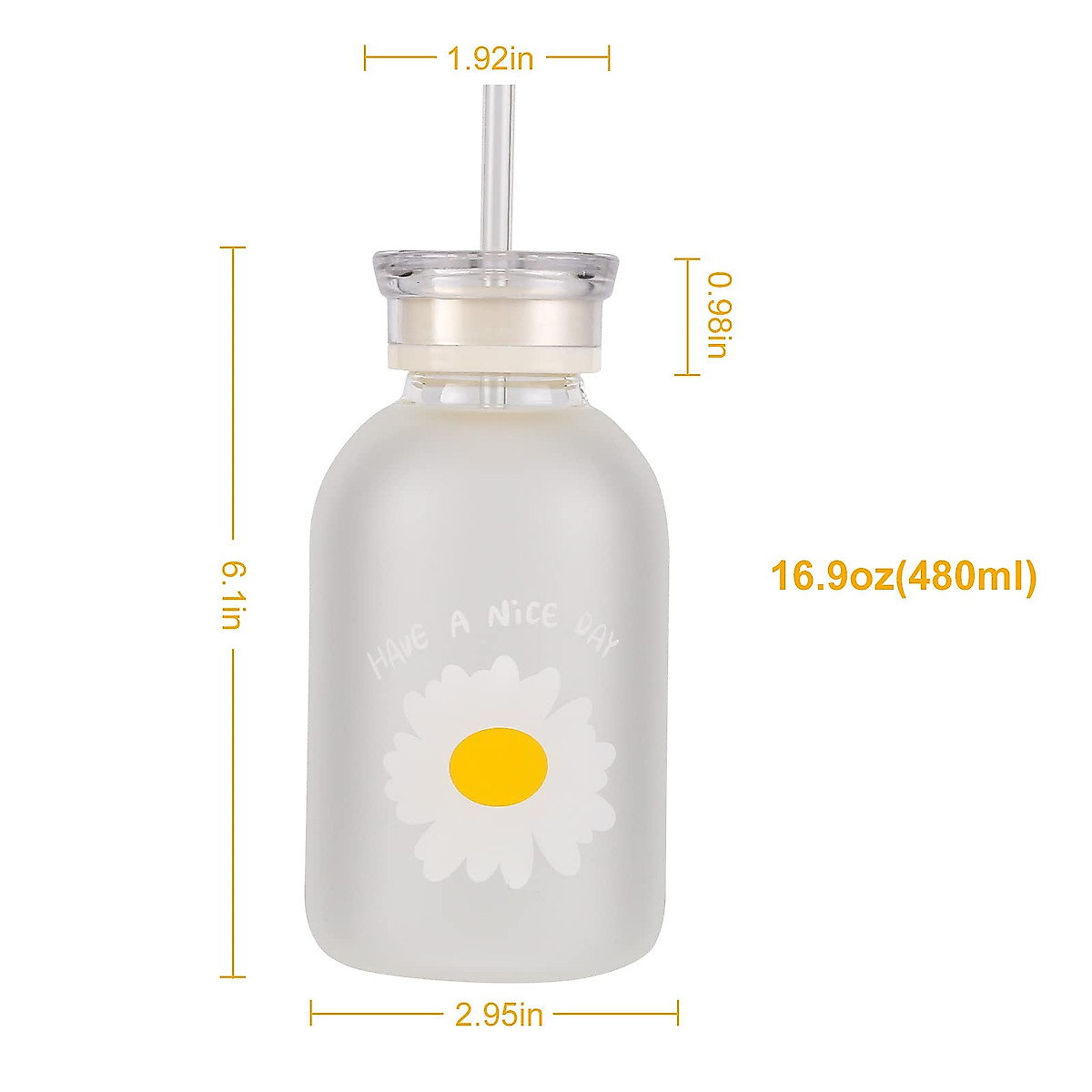 ASTROWORLD WISH YOU WERE HERE 16.9oz(480ml) Milk Juice Water Bottle with Scale,2 Lids and 2 straws Little daisy Matte Portable glass Water Cup, One Flower Grass Bottles Creative Handy Cup