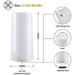 PDGROW LED Flame Light (NO Remote)+ LED Flame Light with Remote Timer（2 Pcs/Set）