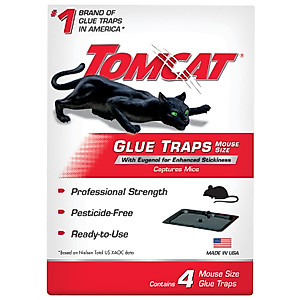 Tomcat Mouse Trap with Immediate Grip Glue for Mice, Cockroaches, and Spiders, Ready-to-Use, 2-Pack (8 Glue Traps)
