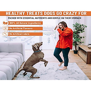 PETSamba 6-Inch Flat Beef Jerky Chews – 20-Pack, All-Natural Beef Esophagus Treats, Highly Digestible, Ideal for Dogs, Grain-Free & Non-GMO