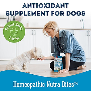 Granville Island Pet Treatery - Nutra Supplement Dog Treat Superfood