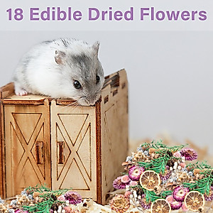 5.5 Oz Natural Flower & Herb Hamster Bedding, Small Animal Soft Flower and Dried Fruit for Hamster Cages and Habitat Decor, Flower Bedding Odor Control for Hamster Chinchilla and Other Small Pet