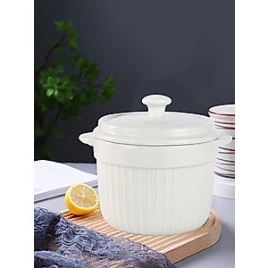 MaoYaMao Ceramic Bacon Grease Container with Strainer,Grease Container for Kitchen 17oz,White