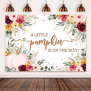 Mocsicka Little Pumpkin Baby Shower Backdrop Burgundy Pink Pumpkin Baby Shower Background Boho Autumn Baby Shower Party Decorations Banner Photo Studio Props (7x5ft)