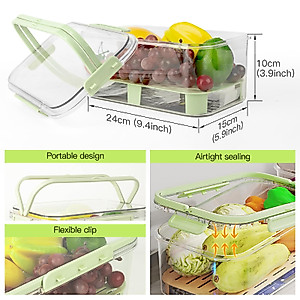 Fruit Storage Berry Keeper Container with Lid and Handle, Portable Food Storage Saver Containers with Ice Pack, for Picnic, Office, Refrigerator, Fridge, Keep Fruit, Vegetable, Meat Fresh (Green)