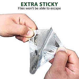 UCatch Transparent Window Fly Traps (13 Pack) to Catch House Flies, Moths, Gnats, Spiders, Bugs. Green, Eco-Friendly See Through Paper with NO Poison