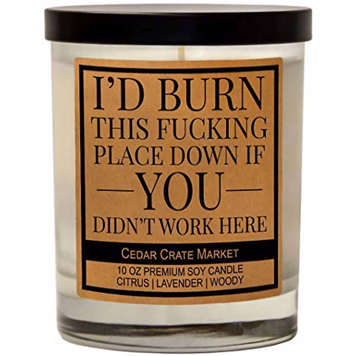 I'd Burn This Place Down If You Didn't Work Here - Funny Candles for Women, Men - Thank You Candle, Funny Work Gifts, Funny Going Away Gift for Coworker, Work Bestie Gifts, Funny Candle for Women