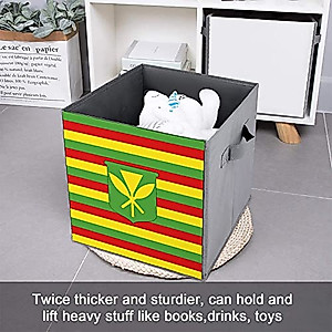 Kanaka Maoli Flag PU Leather Collapsible Storage Bins Canvas Cube Organizer Basket with Handles