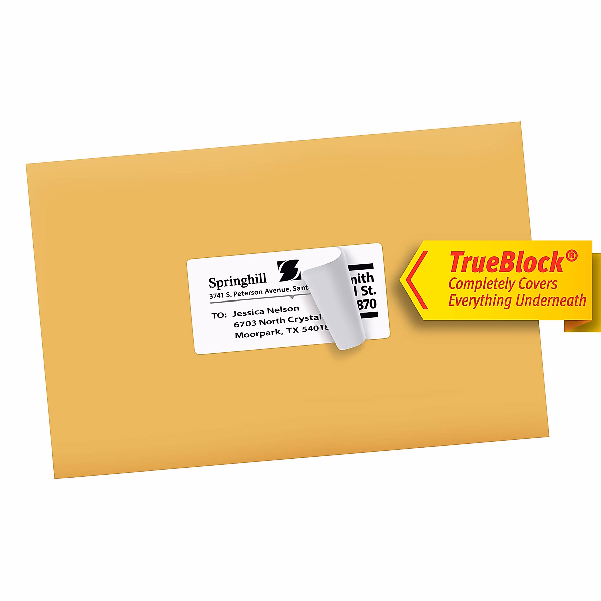 Avery Printable Shipping Labels with Sure Feed, 2" x 4", White, 250 Blank Mailing Labels (8163)