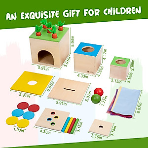 Adena Montessori 6 in 1 Play Kit Toy- 3 Nesting & Stacking Boxes, Object Permanence Drop Game, Coin Box, Carrot Harvest,Tissue Box,Sticks Matching Game for 6-12 Months 1 Year Old Toddlers 2 Year