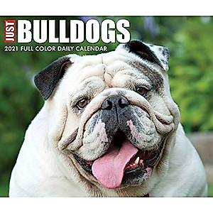 Just Bulldogs 2021 Box Calendar (Dog Breed Calendar)