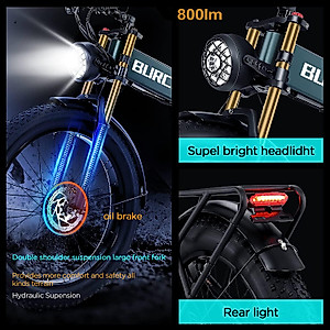 DAMSON 1000W Electric Bike Ebike for Adult 48V 20AH Removable Battery 26"X4"Fat Tire up to 30MPH &75 Miles Long Range Off Road Beach Mountain Electric Bicycle with Dual Hydraulic Disc Brakes