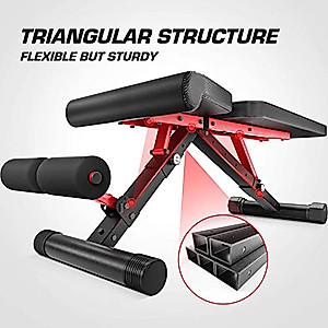 Pelpo Adjustable Weight Bench, Folding Weight Lifting Bench, Workout Bench for Home, Incline/Decline Bench for Full Body Workout, Strength Training Benches, Max Load 660lbs