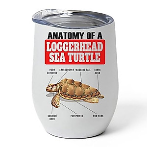 Loggerhead Sea Turtle Tumbler 12oz - Funny Anatomy Chart Design - Stainless Steel Vacuum Insulated Wine Cup With Lid - Gifts for Turtle Lovers