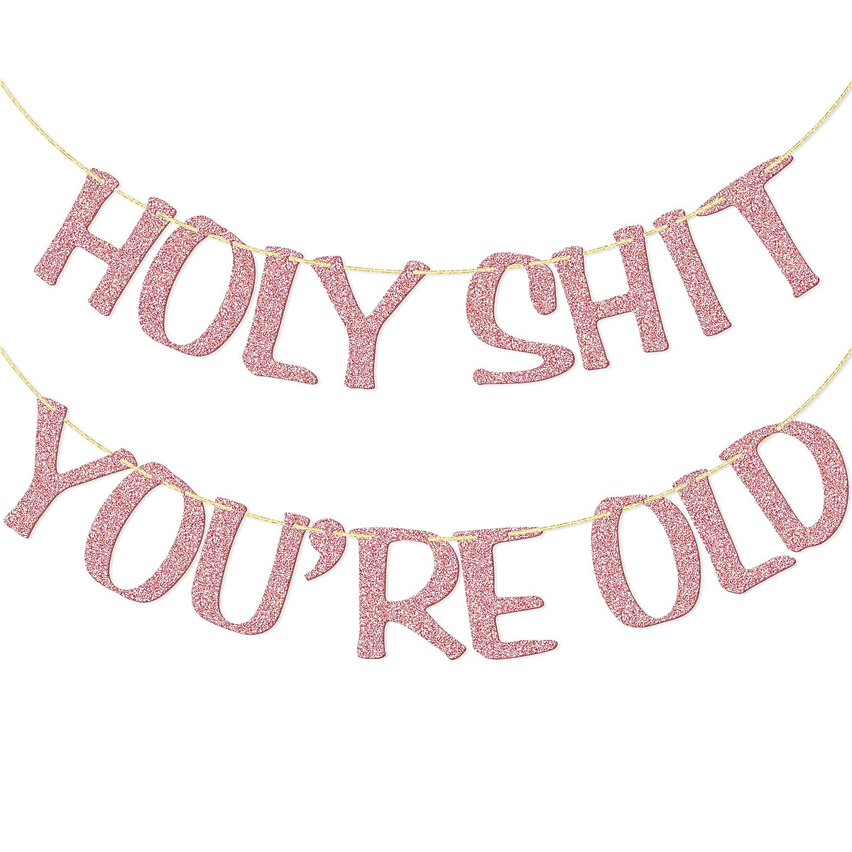 Holy Shit You're Old Banner Rose Gold Glitter for 30th 40th 50h 60th 70th 80th 90th Funny Birthday Banner Sign Bunting Party Decor Photo Booth Props (Rose Gold)